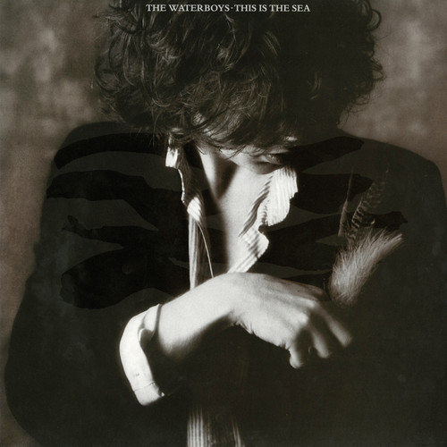 Waterboys - This is the Sea on 180g vinyl – Orbit Records